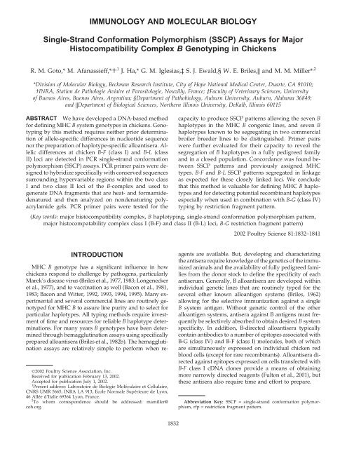 Single-Strand Conformation Polymorphism (SSCP ... - Poultry Science