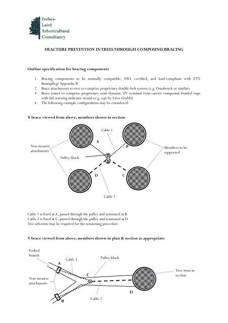 Compound bracing.pdf - Arbtalk