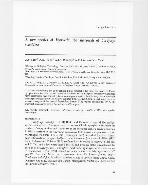 A new species of Beauveria, the anamorph of ... - Fungal diversity