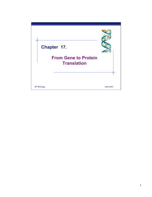 Chapter 17. From Gene to Protein Translation - Explore Biology