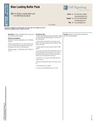 ESC Pluripotency and Differentiation - Cell Signaling Technology, Inc.