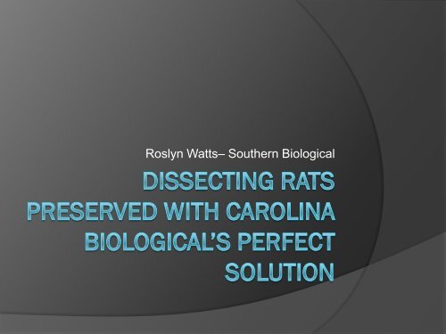 Rat Dissection Workshop - Southern Biological