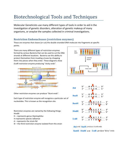 Biotechnological Tools and Techniques