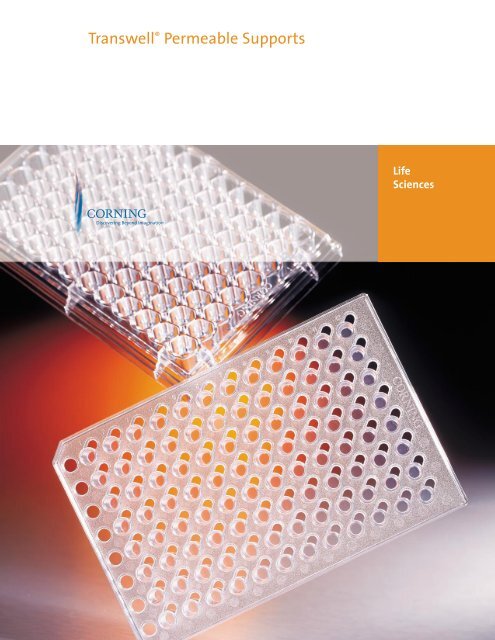 Transwell® Permeable Supports