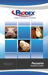 Product Catalogue - Prodex