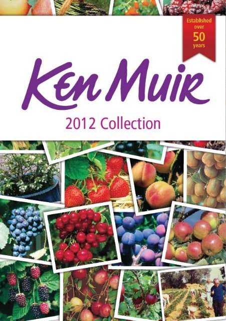Over 50 Years Experience - Ken Muir