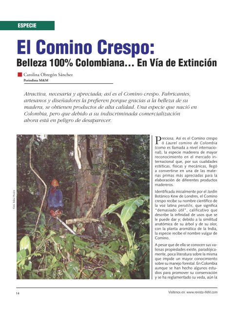 El Comino Crespo: - Oriente