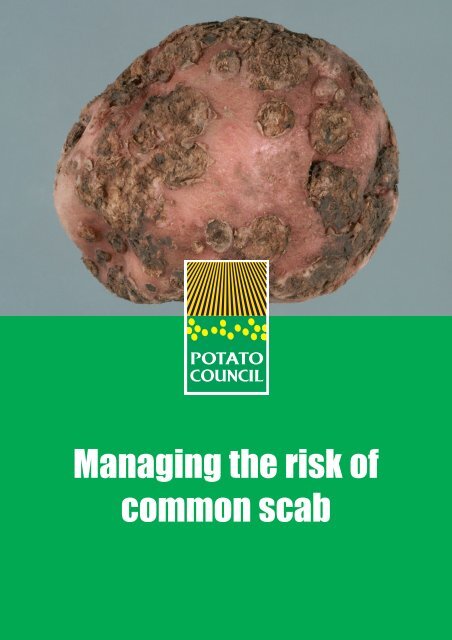 Managing the risk of common scab - Potato Council