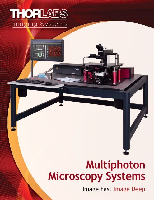 Multiphoton Microscopy Systems - Thorlabs