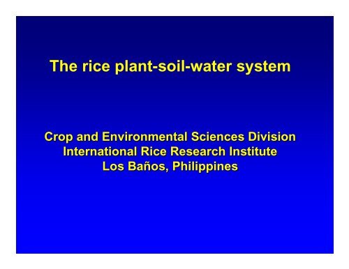 The rice plant-soil-water system - Rice Knowledge Bank ...