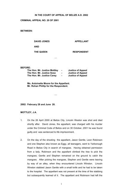criminal Appeal No. 20 of 2001 - Belize Law