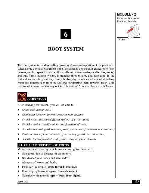 6 root system