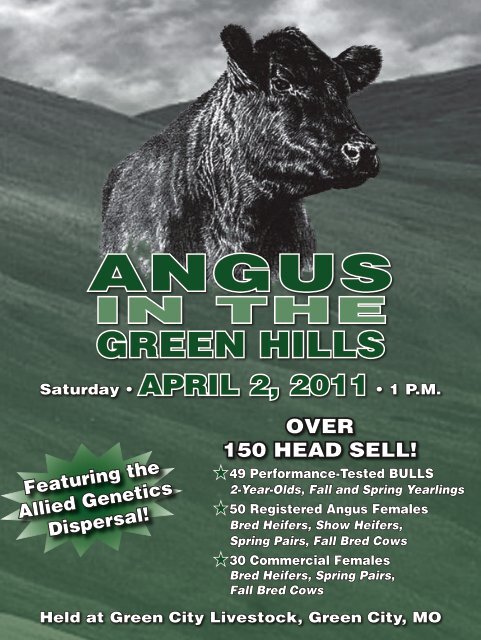 IN THE GREEN HILLS - Angus Journal