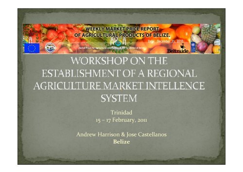 Belize Experience on MIS by Mr. Andrew Harrison and Mr. Jose ...