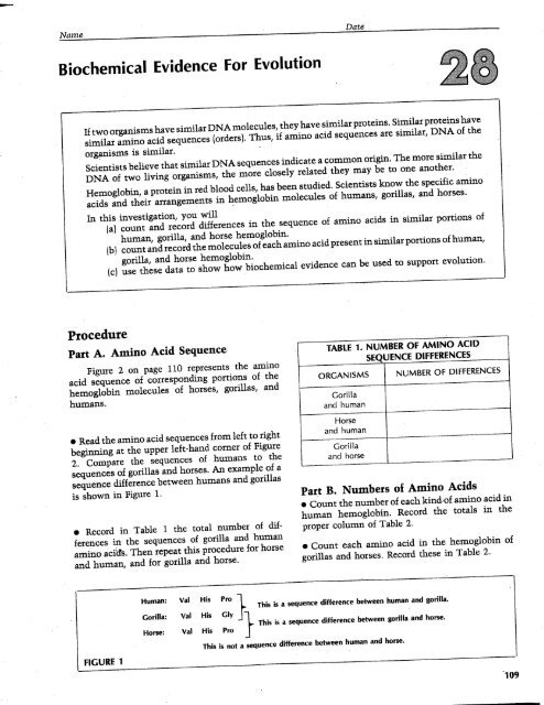 Biochemical Evidence For Evolution - Wayne County Public Schools