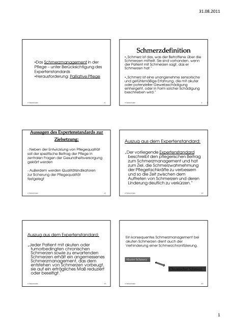 Expertenstandard Schmerz