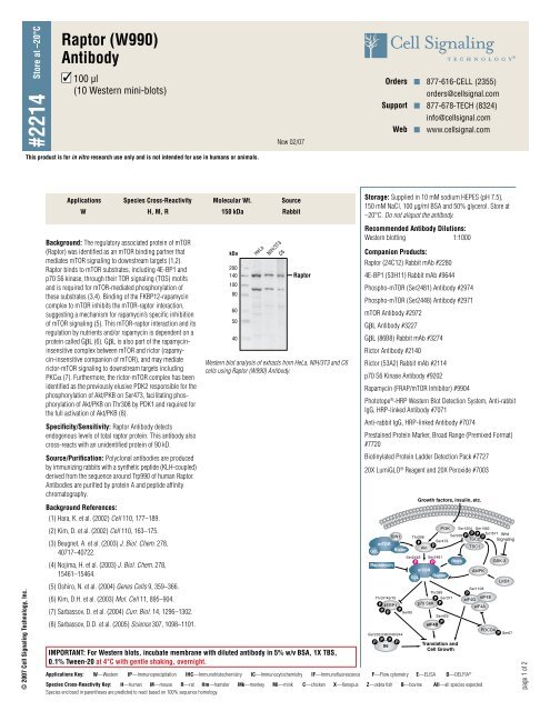 Raptor (W990) Antibody - Cell Signaling Technology, Inc.