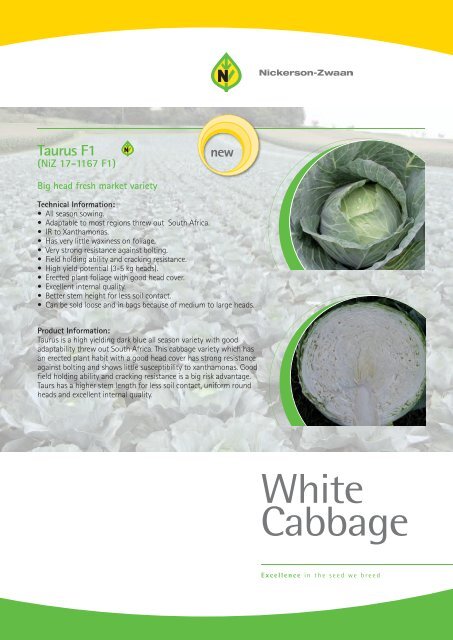 Product leaflet cabbage Taurus F1 - Nickerson-Zwaan