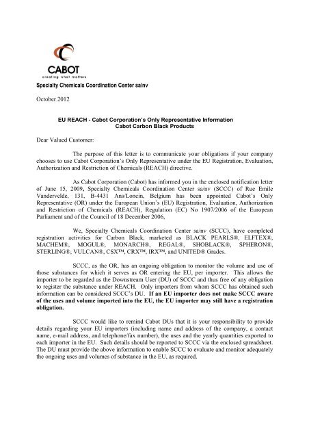 Only Representative Information Request Letter - Cabot Corporation
