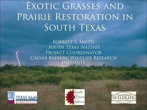Native Prairie Restoration in South Texas - Caesar Kleberg Wildlife ...