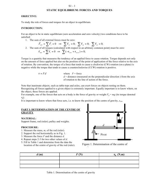 STATIC EQUILIBRIUM: FORCES AND TORQUES - Ryerson ...