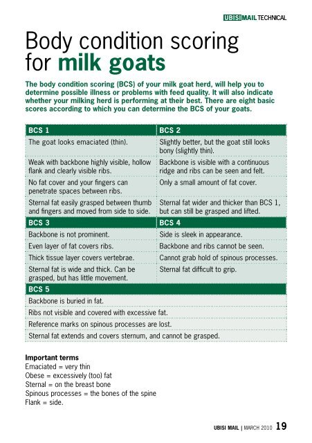Body condition scoring for milk goats - Ubisi Mail Magazine