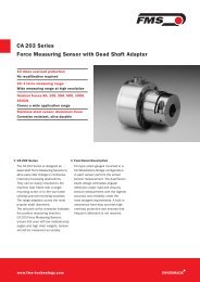 Data sheet (PDF) - FMS Technology