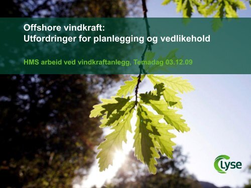 Offshore Vind - Energi Norge