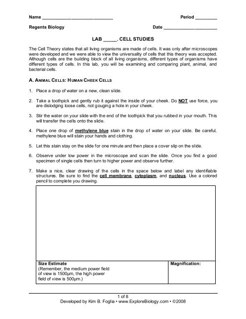 LAB _____. CELL STUDIES - Explore Biology