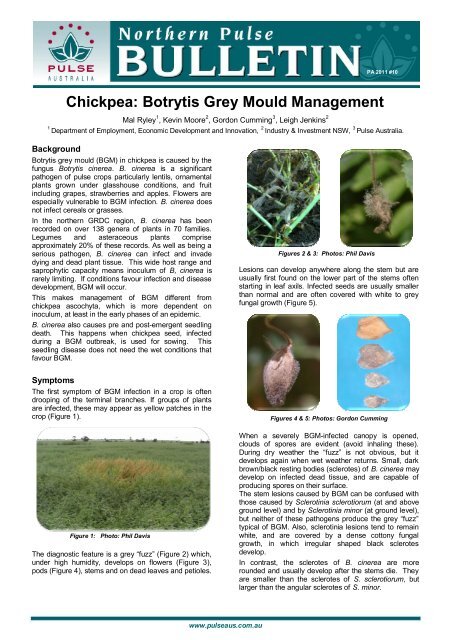 Chickpea: Botrytis Grey Mould Management - Pulse Australia