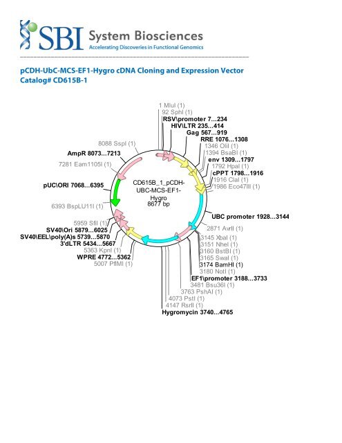 pCDH-UbC-MCS-EF1-Hygro cDNA Cloning and Expression Vector ...