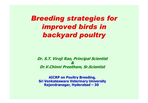 Breeding strategies for improved birds in backyard poultry