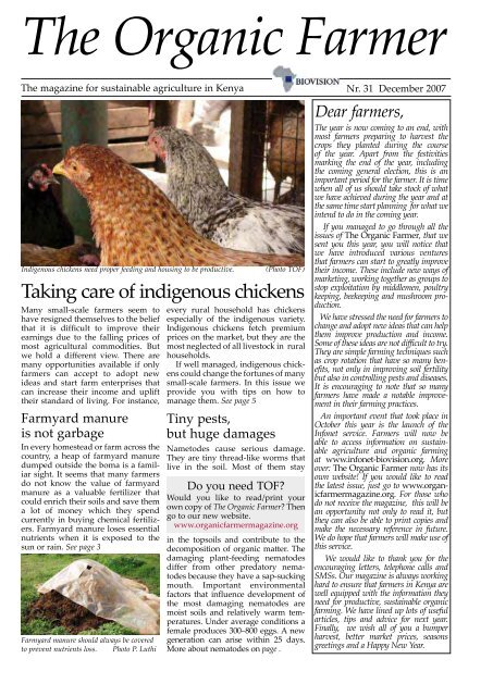 Taking care of indigenous chickens - Infonet-Biovision