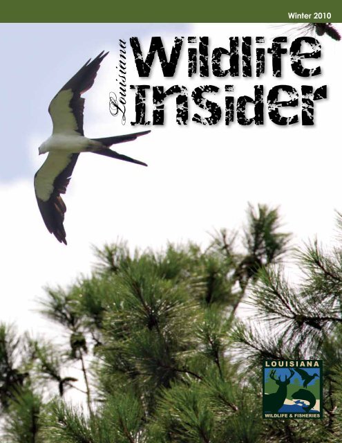 Louisiana Department of Wildlife and Fisheries