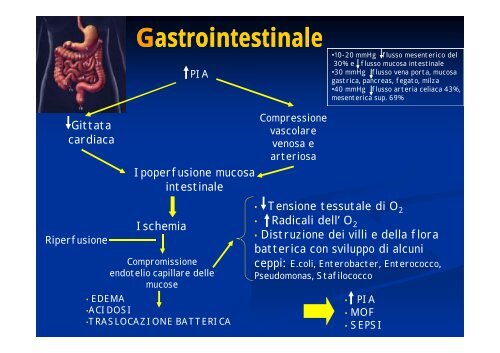 Renale PIA Gittata cardia