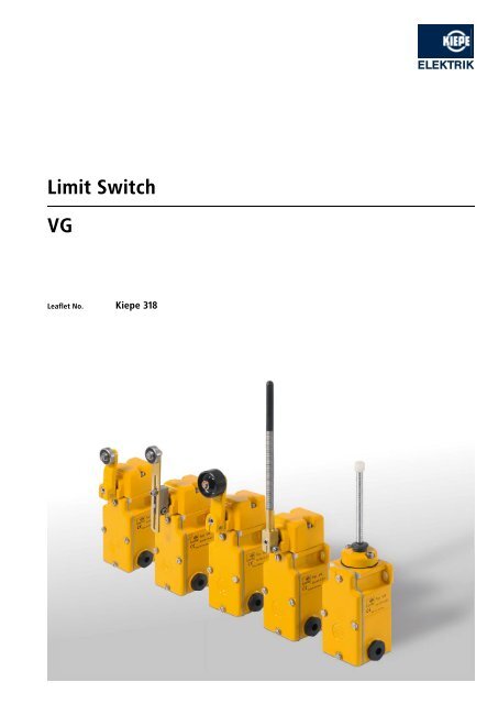 limit switch VG