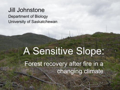 A sensitive slope: Landscape patterns of post-fire forest ...