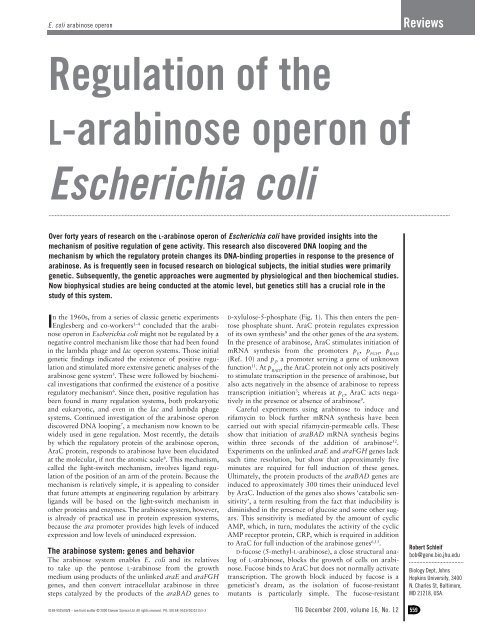 Regulation of the L-arabinose operon of Escherichia coli