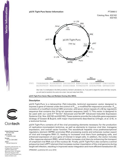 pLVX-Tight-Puro Vector Information