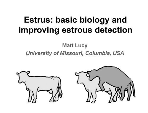 Estrus: Basic Biology and Improving Estrous Detection - Dairy Cattle ... Estrus: Basic Biology and Improving Estrous Detection - Dairy Cattle ...