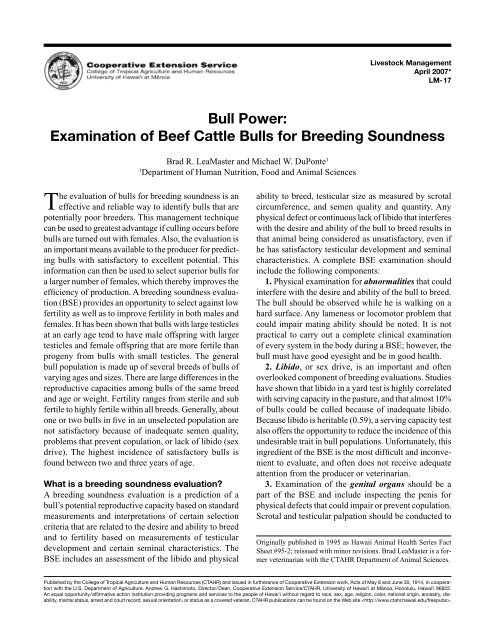 Bull Power: Examination of Beef Cattle Bulls for Breeding ... - ctahr