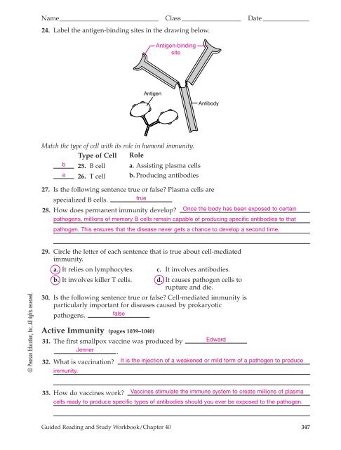 Chapter 24 The Immune System And Disease Worksheet Answers Ivuyteq chapter-24-the-immune-system-and-disease-worksheet-answers-ivuyteq