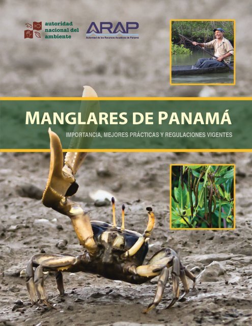 Manglares de Panama web