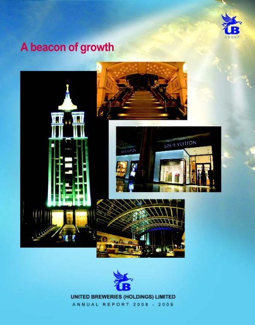 Annual Report 2008-2009 - UB Group