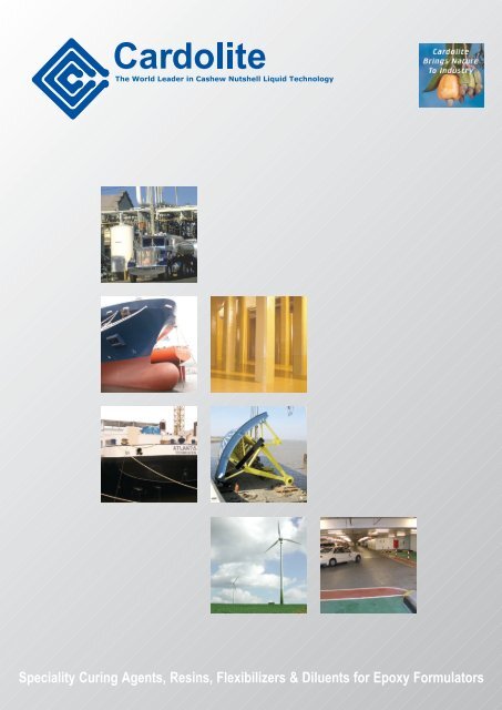 Speciality Curing Agents, Resins, Flexibilizers & Diluents for Epoxy ...