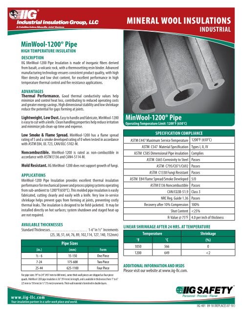 SAFETY - IIG: Industrial Insulation Group, LLC