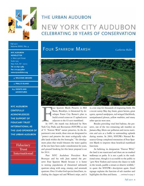 fall migration on - New York City Audubon Society