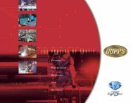 Dupps Rendering Systems Overview - The Dupps Company