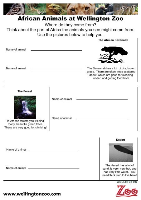 African Animals Worksheets - Version 2.pub - Wellington Zoo