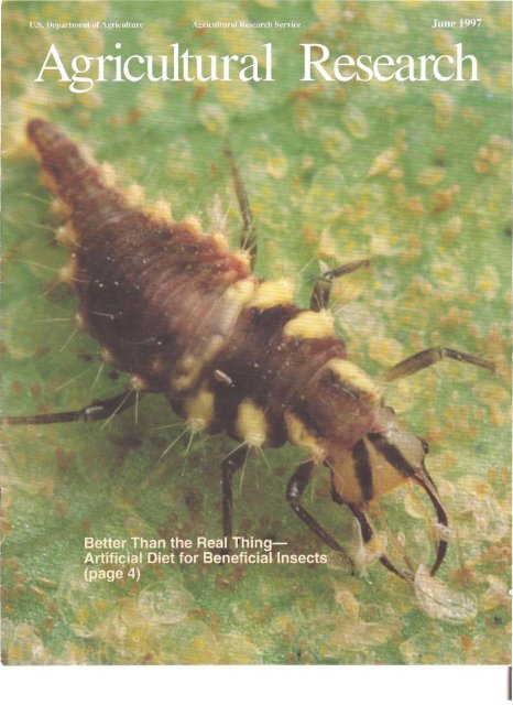 89 - IREaR Insect Rearing Education and Research